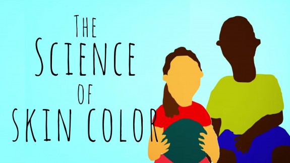 The science of skin color (in TED-Ed GIFs)